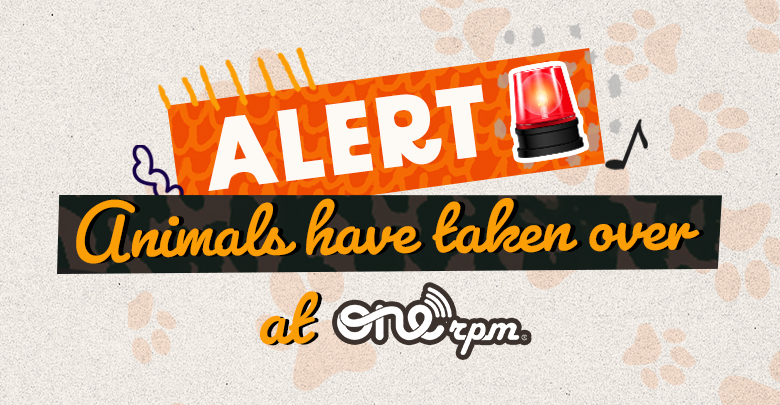 ALERT: Animals Have Taken Over At ONErpm - ONErpm Blog